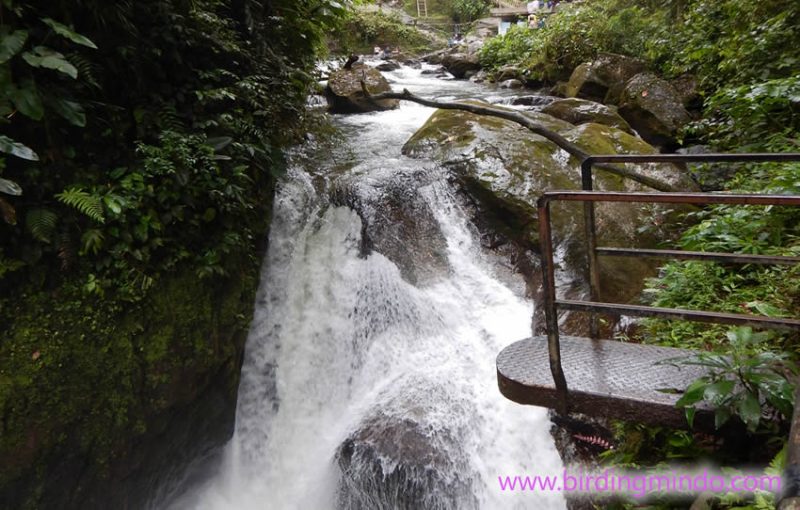 Tarabita – Santuario de las Cascadas – Mindo Ecuador Cabañas Armonia