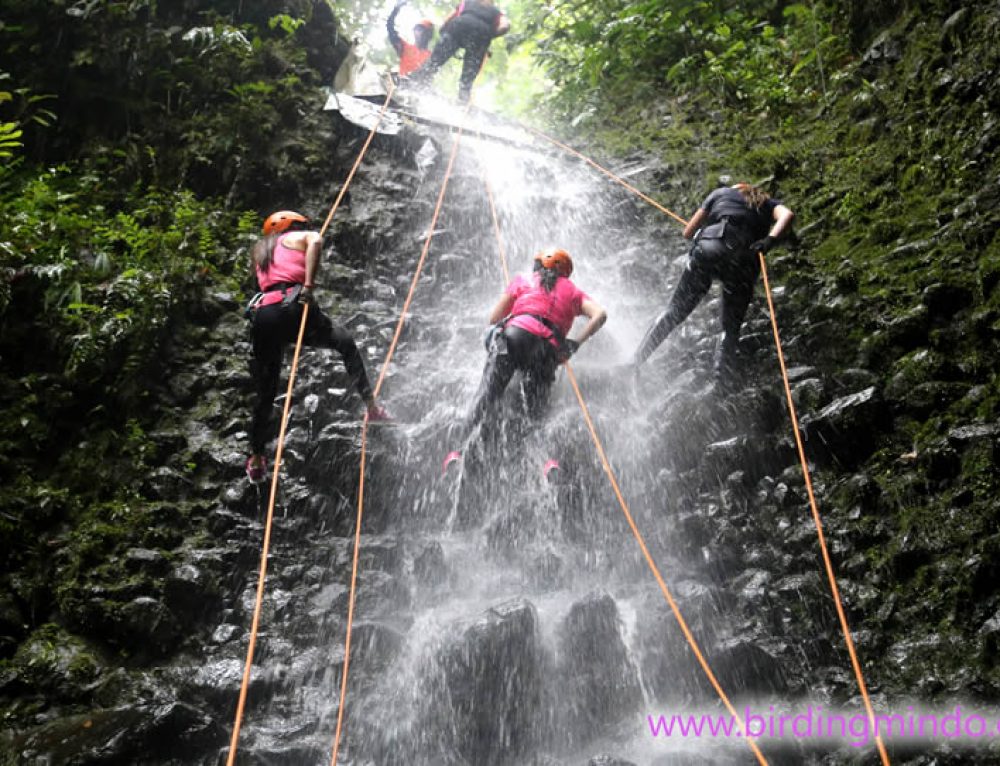 Tarabita – Mindo Ecuador Cabañas Armonia